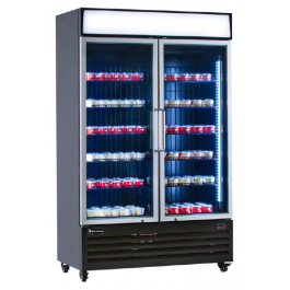 Merchandiser Freezer, 48", 2x door